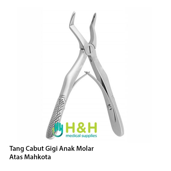 Jual Tang Cabut Gigi Anak Molar Atas Mahkota / Forcep Cabut Gigi ...