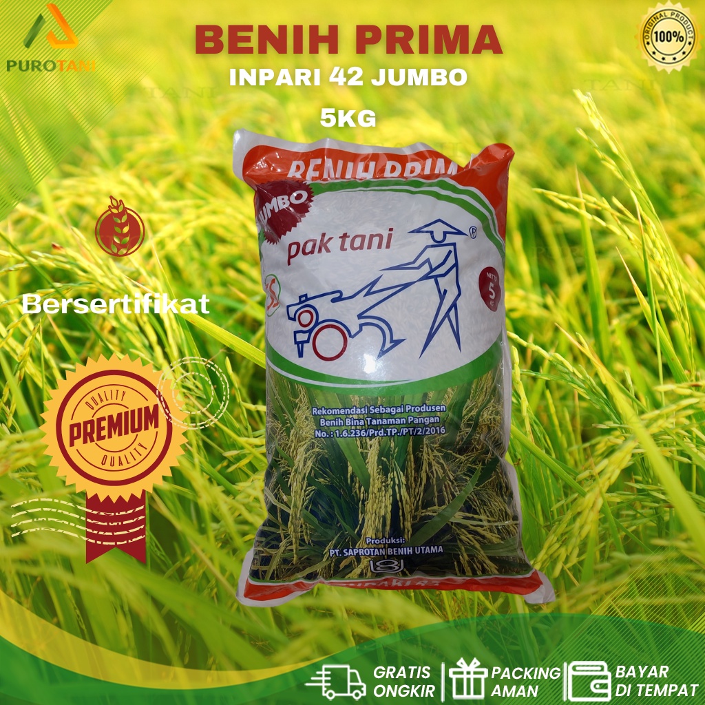 Jual Benih Padi INPARI 42 jumbo Pak Tani 5kg Benih Prima Paktani SS ...