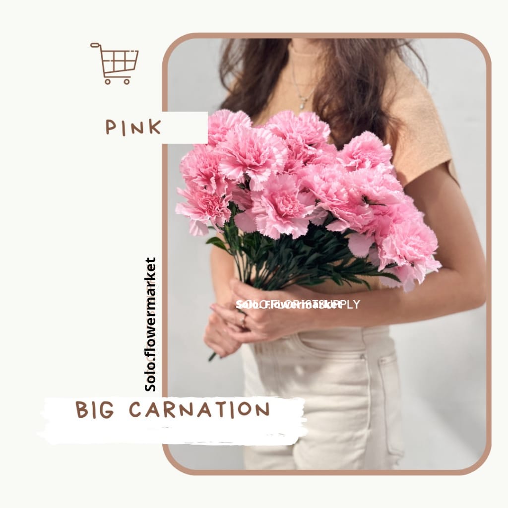 Jual BIG CARNATION BOUQUET X6 ARTIFICIAL FLOWER BUNGA PALSU BUNGA ...