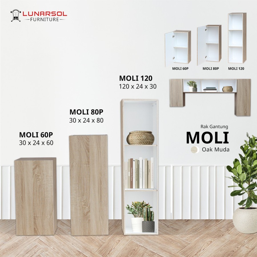 Jual Rak Serbaguna / Rak Gantung / Rak Dinding / Rak Buku / Rak Tembok ...