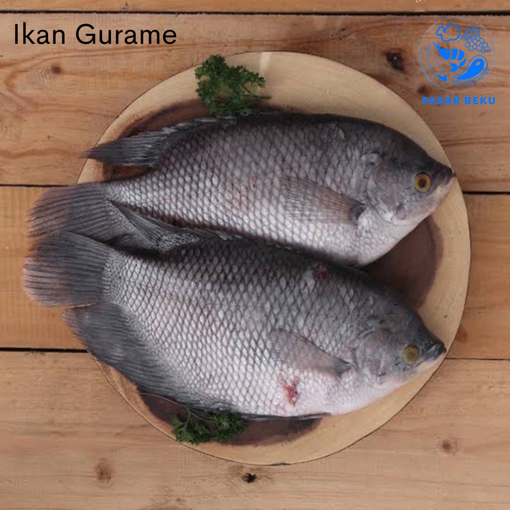 Jual Ikan Gurame Segar Food Fresh Ikan 500gr Pasar Beku Padang | Shopee ...