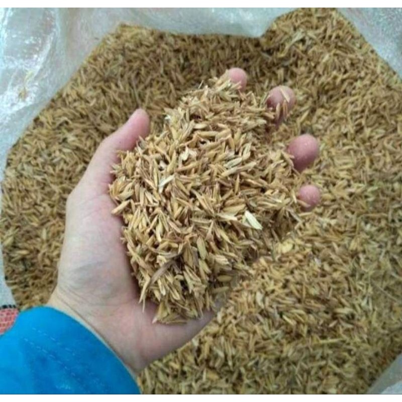 Jual Sekam padi kulit gabah mentah media tanam bahan briket 1kg ...