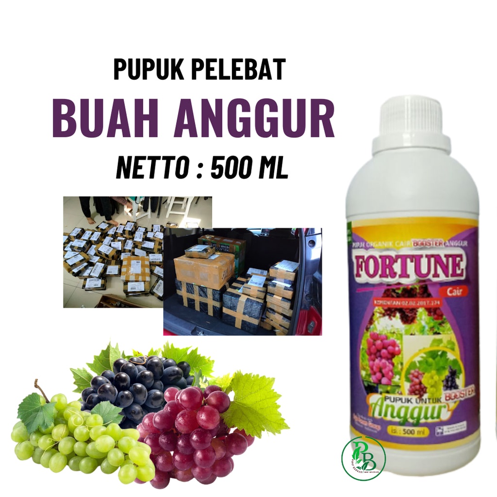 Jual Pupuk Booster Pemicu buah anggur cair 500 ML, NUTRISI Organik Pelebat anggur agar subur ...
