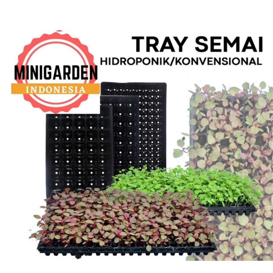 Jual TRAY SEMAI POT TRAY 200 LUBANG Traypot Bibit Biji Nampan Benih ...