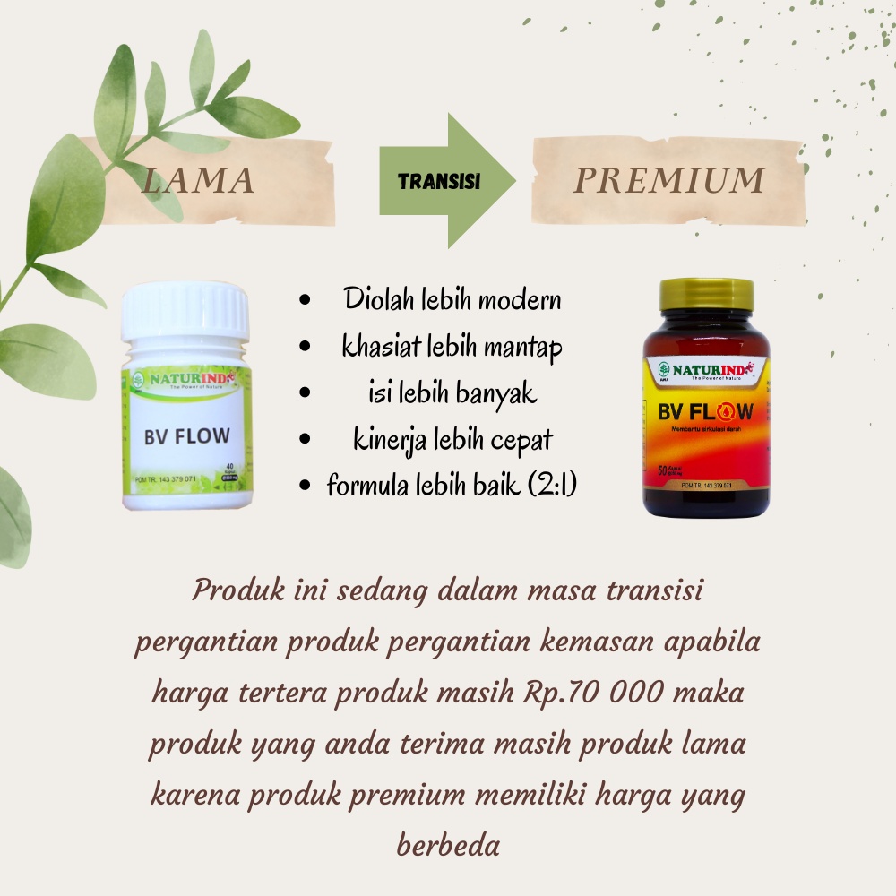 Jual Obat Herbal BV FLOW Naturindo (Spesial Sirkulasi Darah Lancar ...