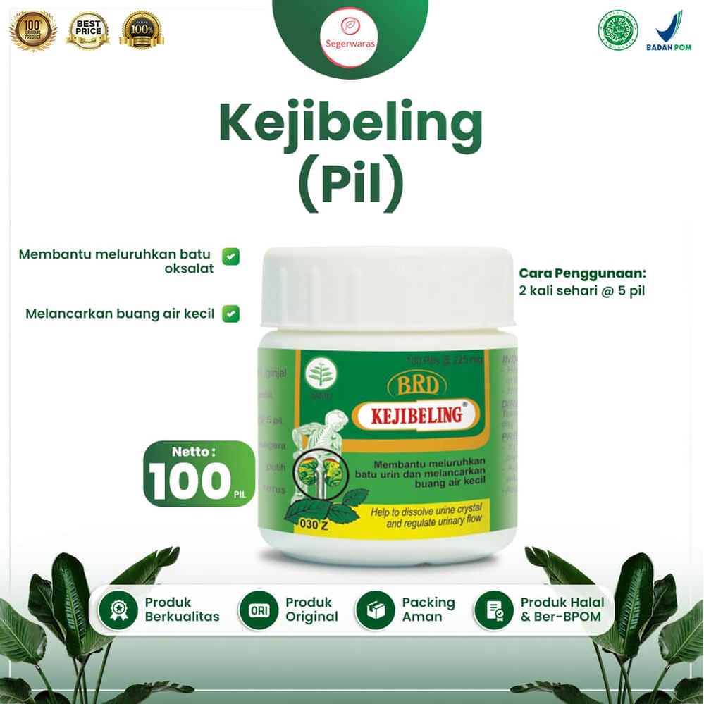 Jual obat herbal Kejibeling obat penghancur batu ginjal yang ampuh ...