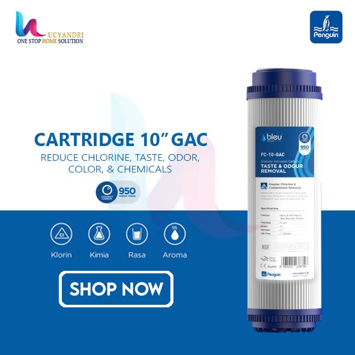 Jual Cartridge Saringan Air / Filter Air Penguin GAC Granular Carbon 10" PREMIUM | Shopee Indonesia