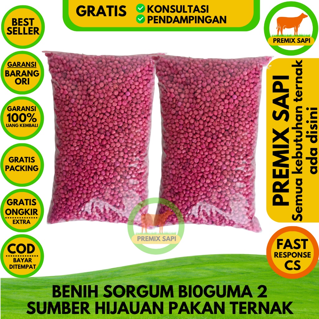 Jual BENIH SORGUM BIOGUMA 2 KEMASAN 1 KG - Sumber hijauan pakan ternak ...