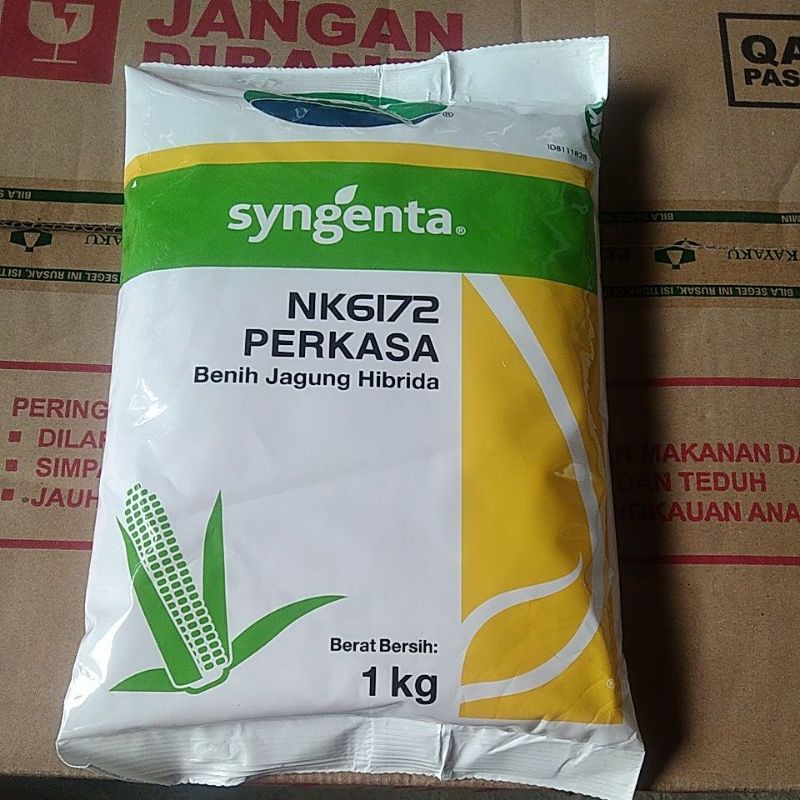 Jual benih NK Perkasa 1 kg | Shopee Indonesia