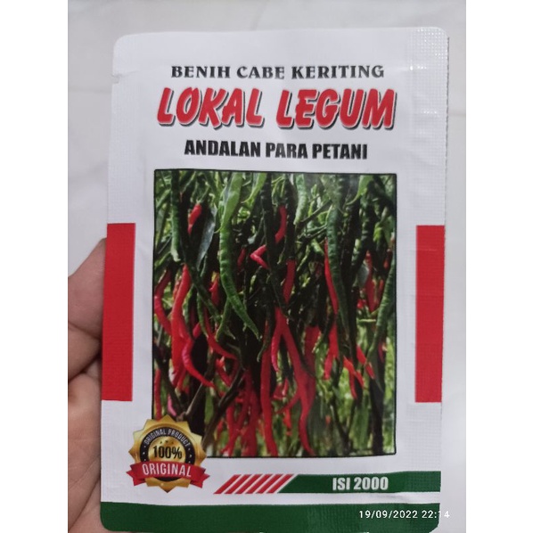 Jual Benih/Bibit Cabe Lokal LEGUM 10gram Ori kemasan Pabrik | Shopee ...