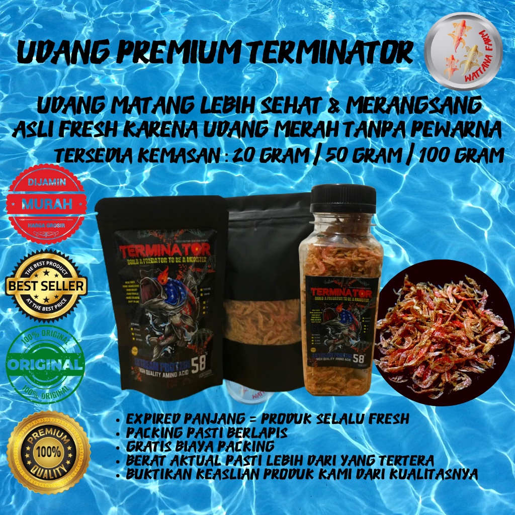 Jual Udang Jumbo Premium Pakan Ikan Predator Premium Channa Cichlid ...
