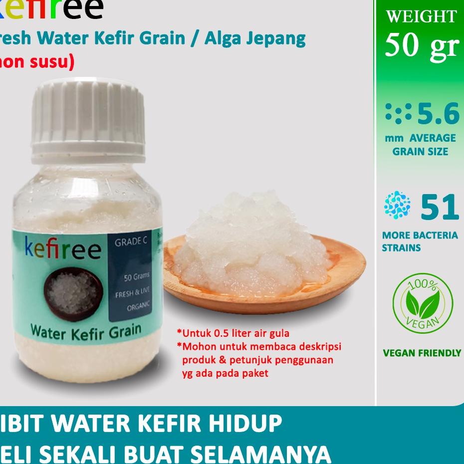 Jual Pasti Laku BIBIT WATER KEFIR HIDUP/WATER KEFIR GRAIN (FRESH ...