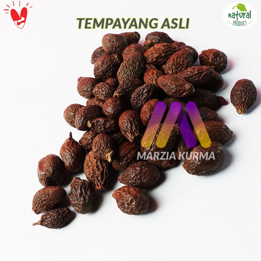 Jual Buah Tempayang 50gr / Malva Nut / Antehai Kering - Asli ...