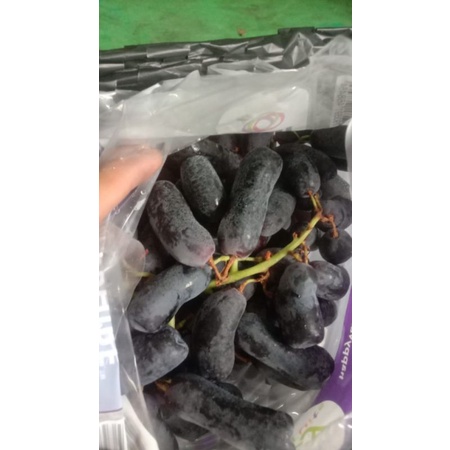 Jual SWEET SAPHIRE/ ANGGUR JARI TANPA BIJI | Shopee Indonesia