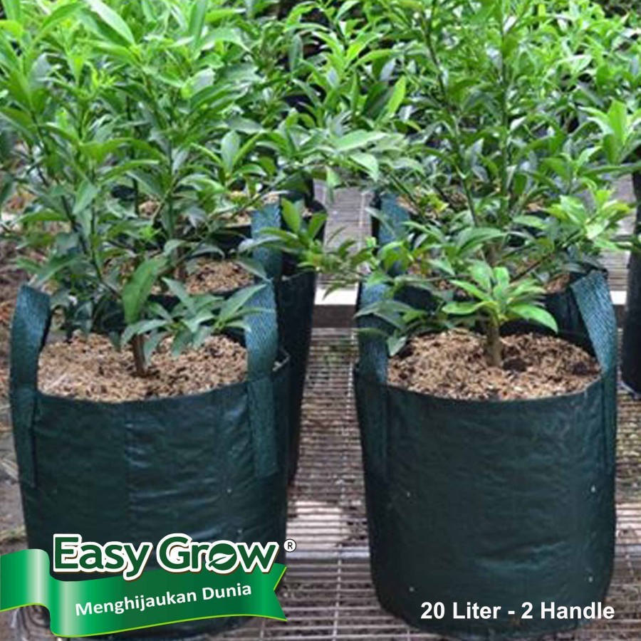 Jual Planter Bag 20 Liter Easy Grow / Pot Tanaman Tambulampot | Shopee ...