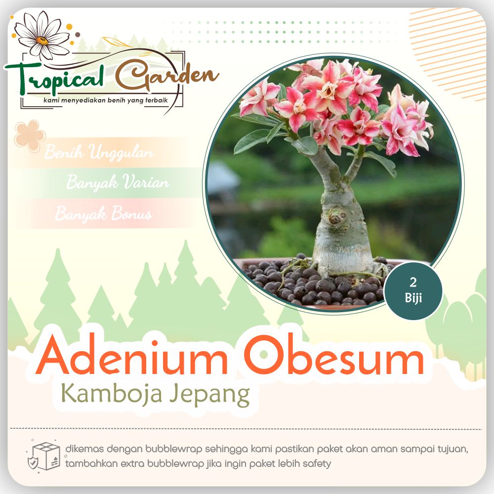 Jual Tropical Garden Benih Bunga Adenium Bibit Kamboja Jepang Adenium ...