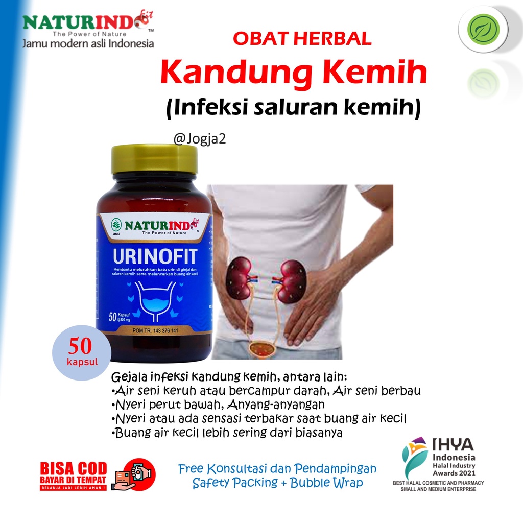 Jual Obat Urinofit Atasi Kandung Kemih Herbal Infeksi Ginjal Saluran Kencing Urinofit Naturindo ...