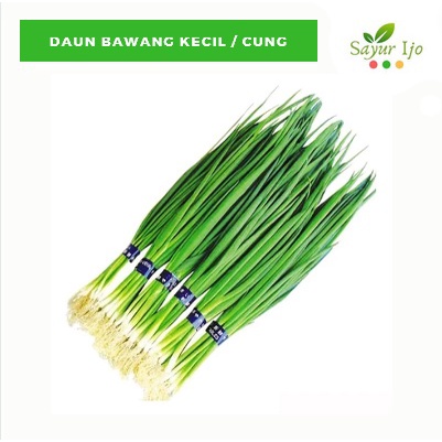 Jual Daun Bawang Kecil / Cung -/+ 240 - 250 Gram / Pack Fresh Scallions ...