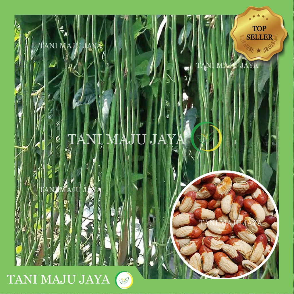 Jual Benih Kacang Panjang Buntut Merah Mini Pack Ecer Repack Kecil ...