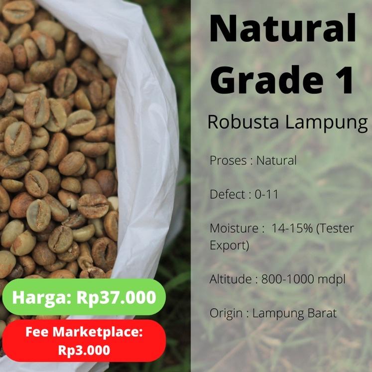 Jual Masih fresh Green Bean Robusta Lampung Petik Merah Grade 1 ...