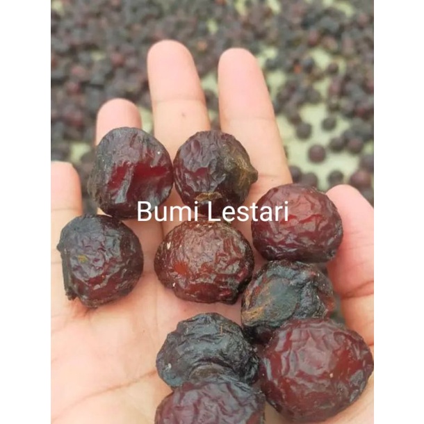 Jual Biji Buah Lerak / Klerek Utuh 1kg | Shopee Indonesia