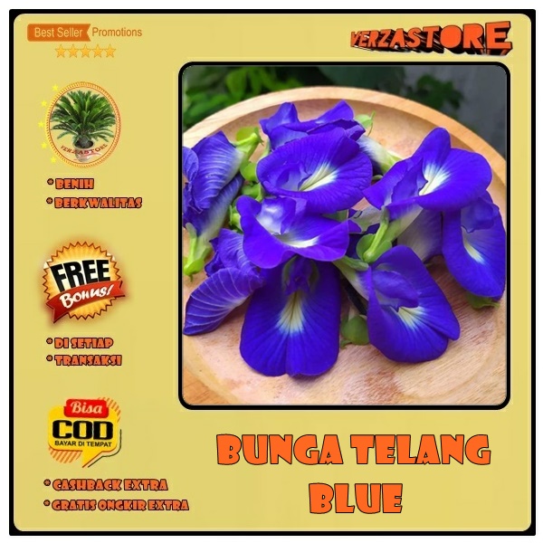 Jual biji benih bunga telang biru / blue /10 biji | Shopee Indonesia