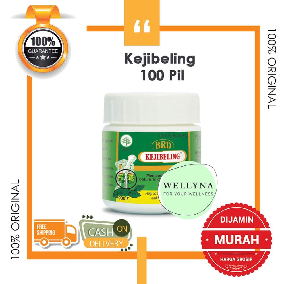 Jual obat herbal Kejibeling obat penghancur batu ginjal yang ampuh ...