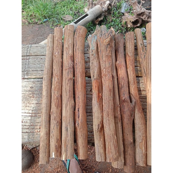 Jual batang Rasamala size L | Shopee Indonesia