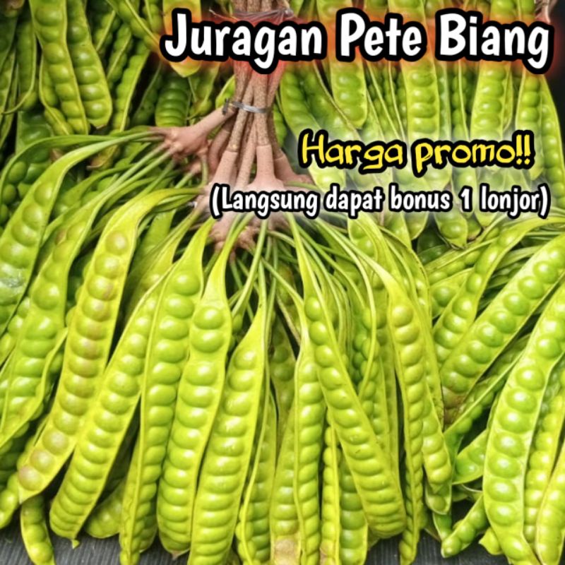 Jual PETE SEGAR SUPERAN ISI 10 PAPAN/PETE SEGAR PILIHAN/PETE TUA/PETE ...
