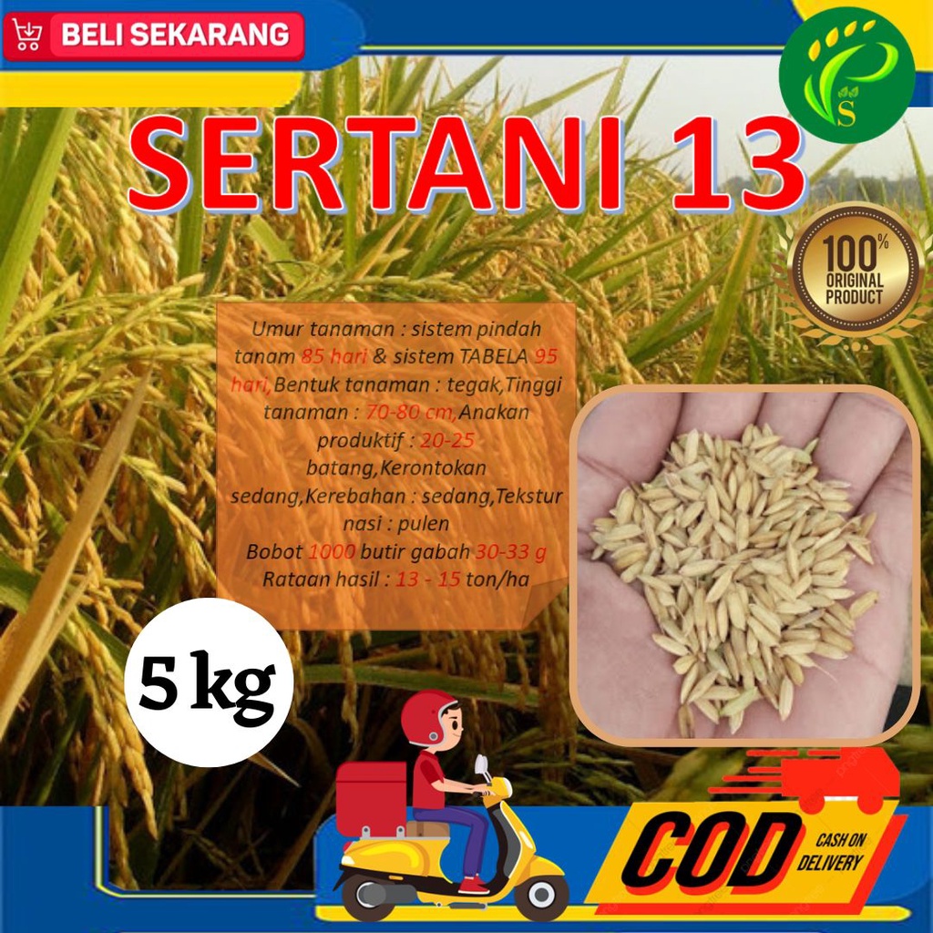 Jual Biji Padi Unggul Sertani 13 Benih Padi Sertani 13 5kg | Shopee ...