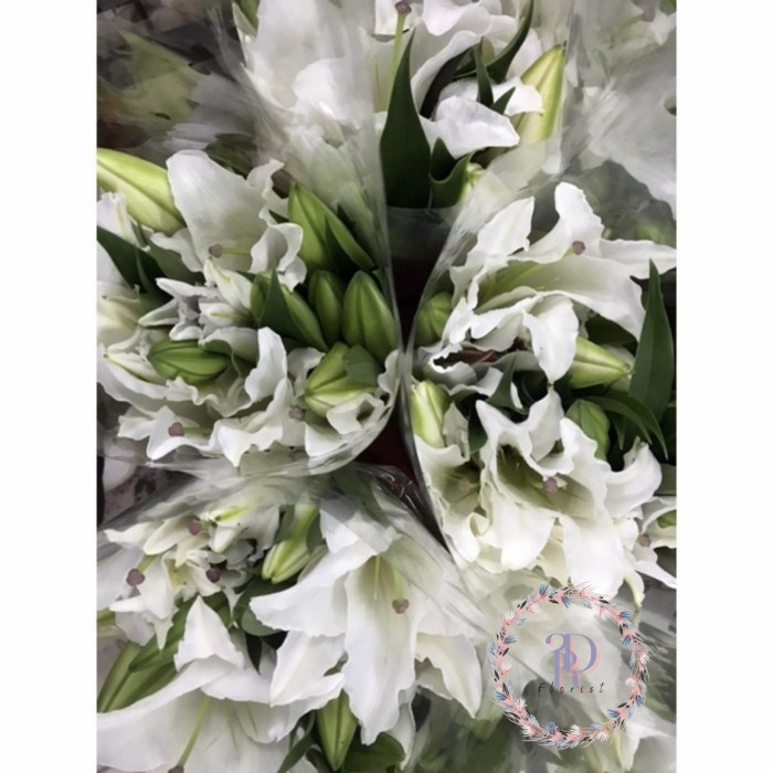 Jual Tangkai Bunga Lily Casablanca (Bunga Segar Lokal) | Shopee Indonesia
