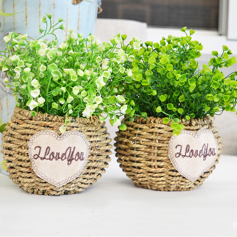 Jual Rumput Bunga Lonceng Menik / Lily of Valley | Shopee Indonesia