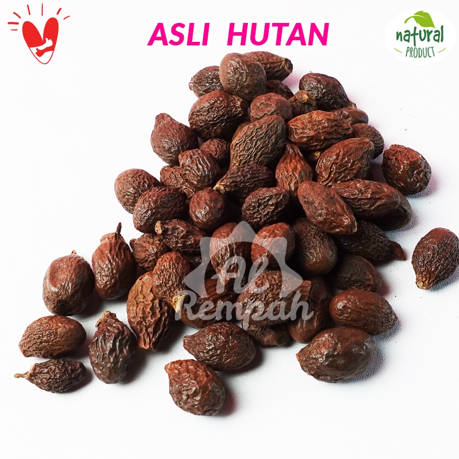 Jual Buah Tempayang / Kembang Semangkuk Kering 500g - Asli Sumatra ...