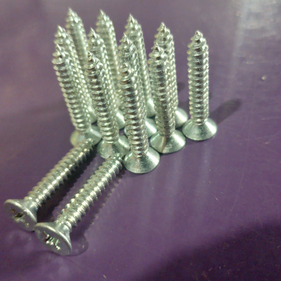Jual tapping TJF 8x1 1/4 /tapping trepes/kepala datar/(per 10pcs ...