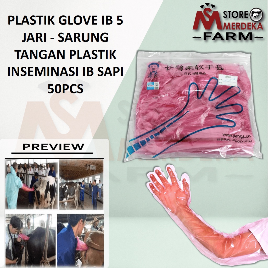 Jual Sarung Tangan Plastik Inseminasi IB Sapi Plastik Glove IB 5 Jari ...