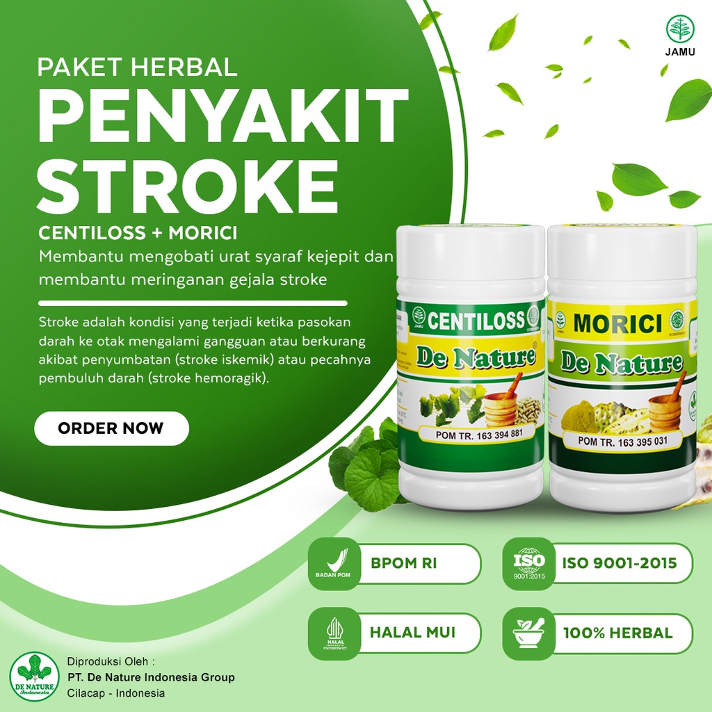 Jual OBAT STROKE STRUK STROK SETRUK PENYUMBATAN PEMBULUH DARAH AMPUH ...