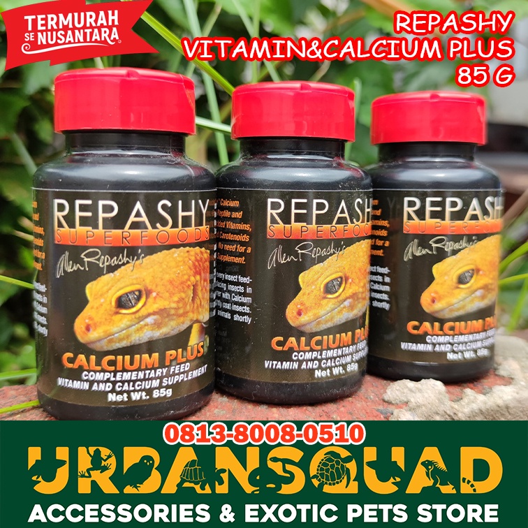 Jual REPASHY CALCIUM PLUS 85GR SULCATA GECKO BEARDED DRAGON ALDABRA ...