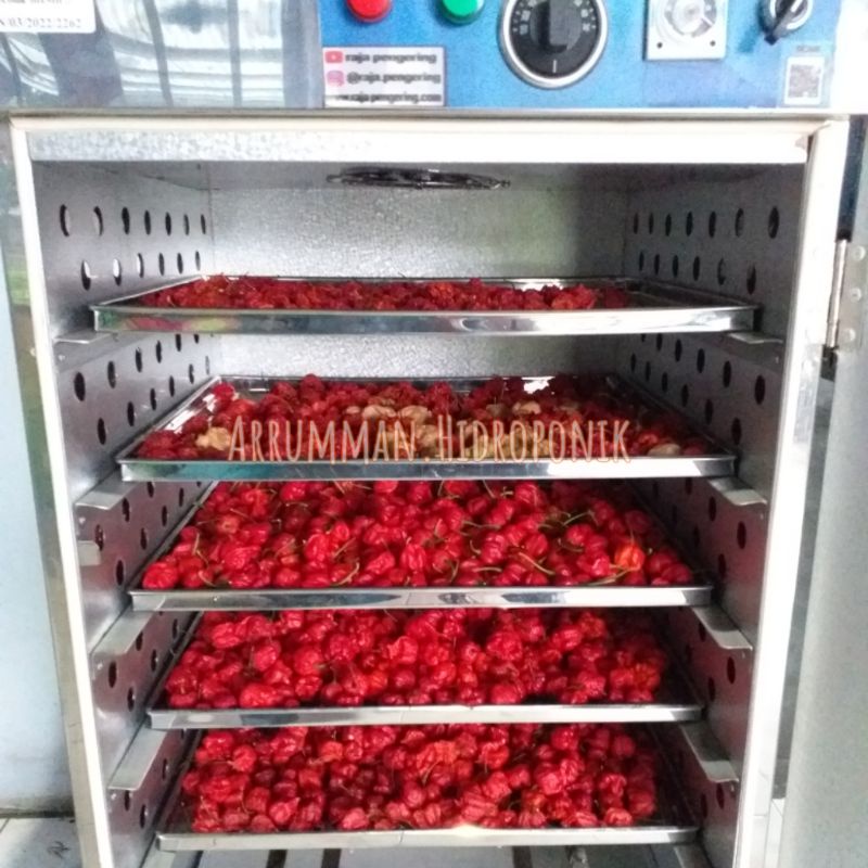 Jual Cabe Carolina Reaper Kering / Buah Utuh Isi Kemasan 10 gram ...