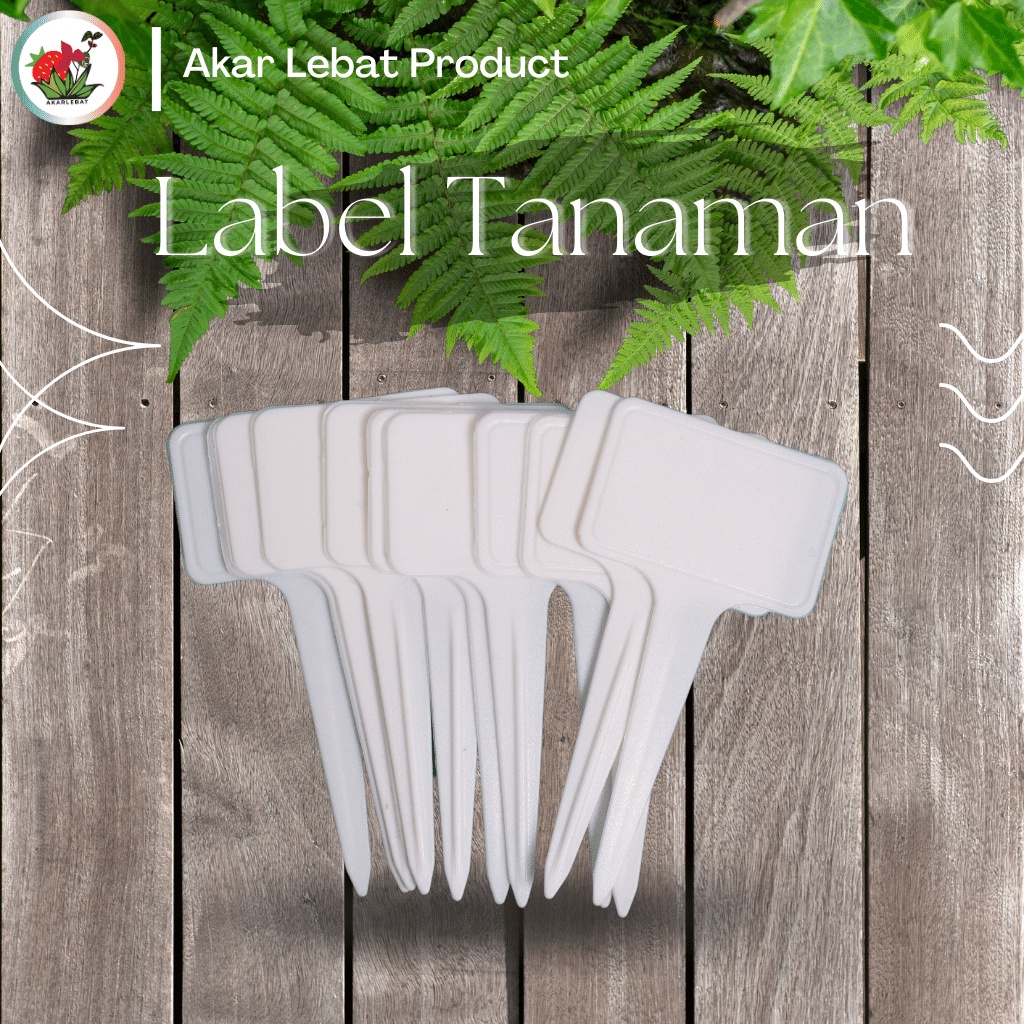 Jual Penanda Label Tanaman Name Plant Tag Warna Putih | Shopee Indonesia