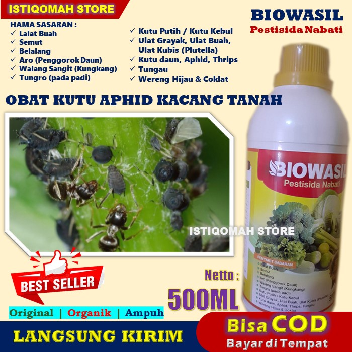 Jual PESTISIDA NABATI Obat Pembasmi Hama Kutu Aphid Kacang Tanah BIOWASIL 500ML Pupuk Pembasmi ...
