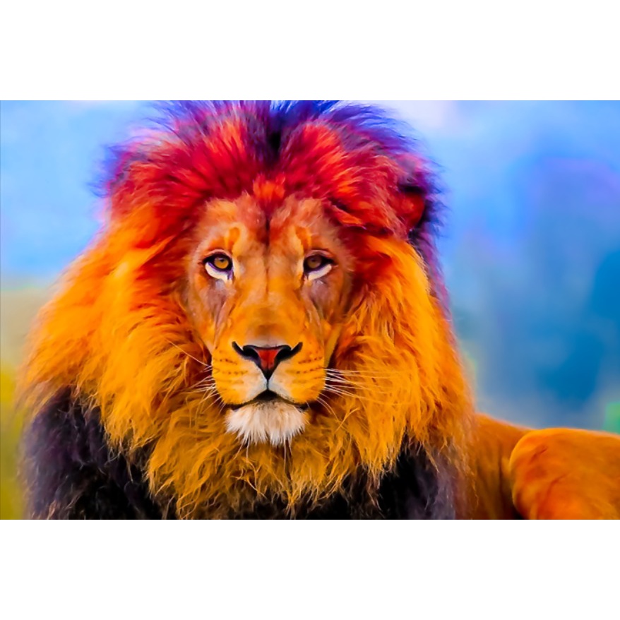 Jual READY POSTER SINGA ukuran 40x60cm, BAHAN LUSTER CETAK UV, BISA ...