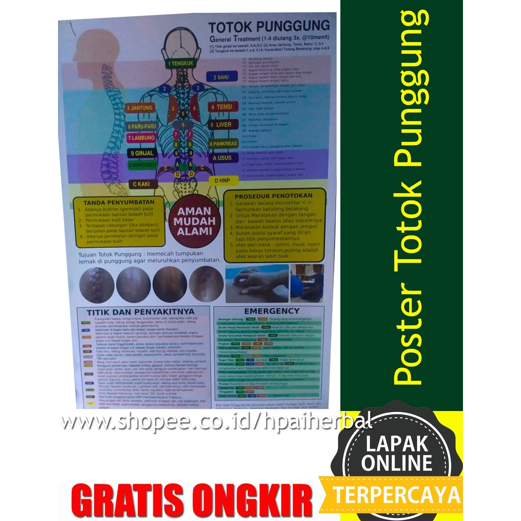 Jual Poster Totok Punggung | Shopee Indonesia