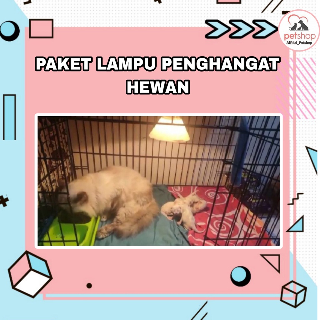 Jual Paket Lampu Penghangat Kucing & Anjing - Lampu Pijar Hangat Kucing ...