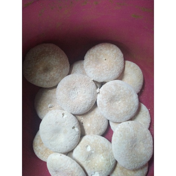 Jual RAGI TUAK DAYAK, ASLI KALIMANTAN.RAGI KUSUS | Shopee Indonesia