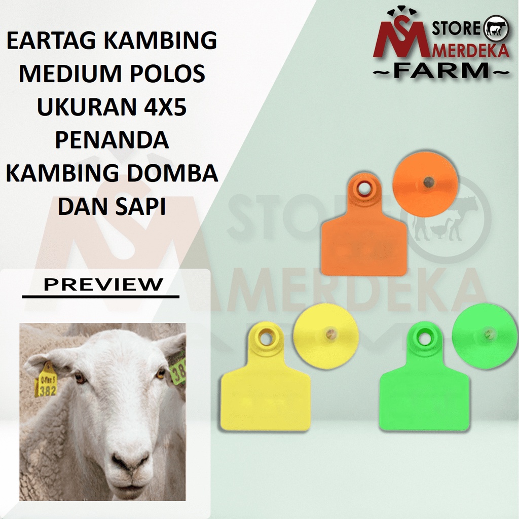 Jual Ear Tag Kambing Medium Polos Ukuran 4X5 Eartag Penanda Kambing ...