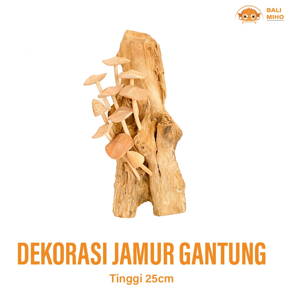 Jual Dekorasi Dinding Jamur Gantung 25 cm - Pajangan Dinding Jamur ...