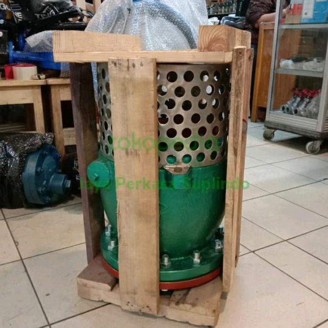 Jual Foot Valve Mizu Cast Iron Flange Jis10K Size 8 Inchi | Shopee ...