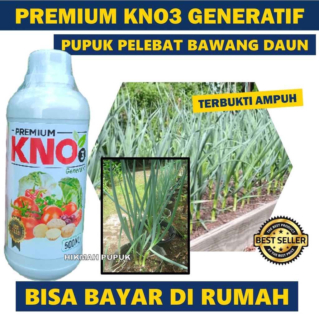 Jual (PROMO) Pupuk BAWANG DAUN Terbaik isi 500 ML – KNO3 GENERATIF Pupuk Pembesar BAWANG DAUN ...