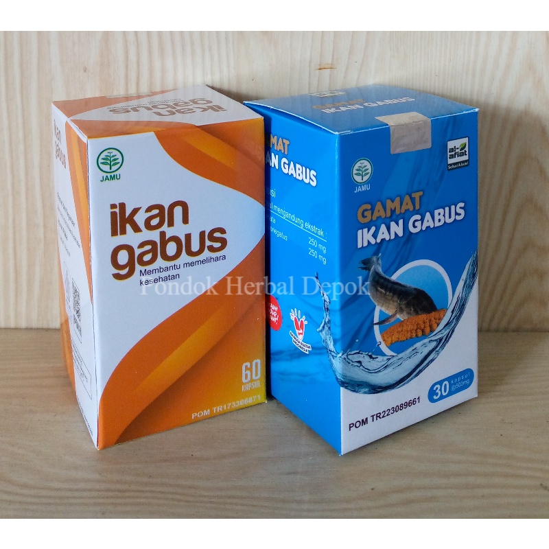 Jual Kapsul Ikan Gabus 60 kapsul dan Gamat Ikan Gabus al afiat 30 kapsul | Shopee Indonesia