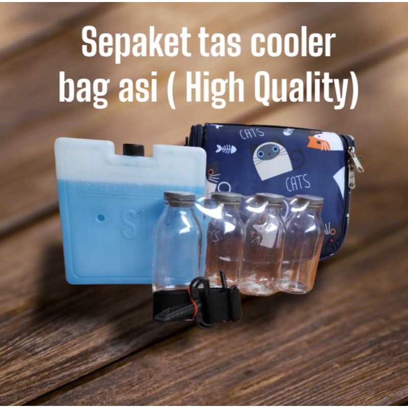 Jual Cooler Bag Asi SEPAKET tas asi berkualitas cooler box (Tas +Ice ...
